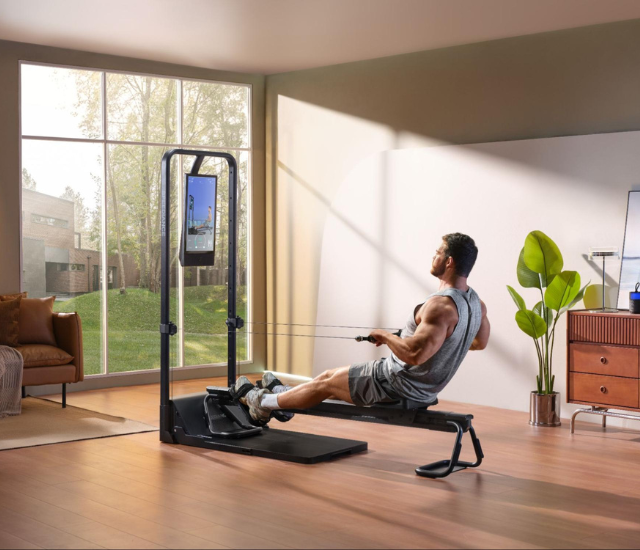 The Perfect Pull Day Workout & Muscle Groups Explained – Speediance