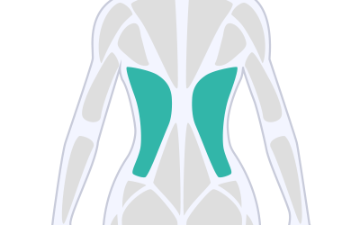 Free Classes:Professional Exercises with Instructions & Tips – Speediance